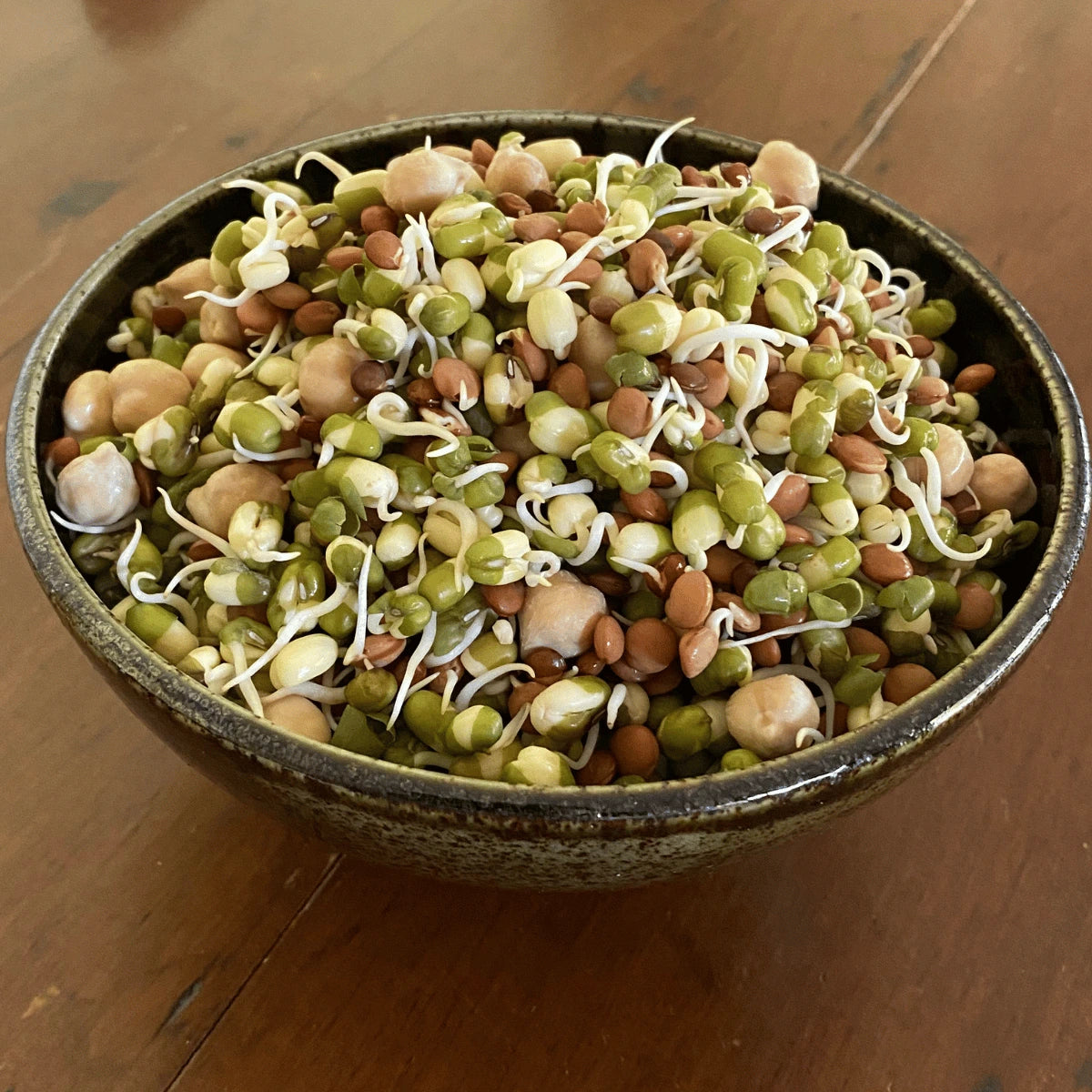 Plant Protein Mix Sprouting Seeds – Survival Seeds